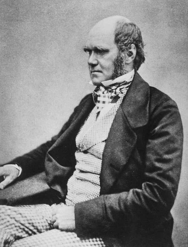Charles Darwin’s Theory of Evolution: Problems For Philosophers Today