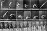 What Is Eadweard Muybridge Best Known For?