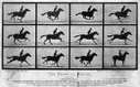 What Is Eadweard Muybridge Best Known For?