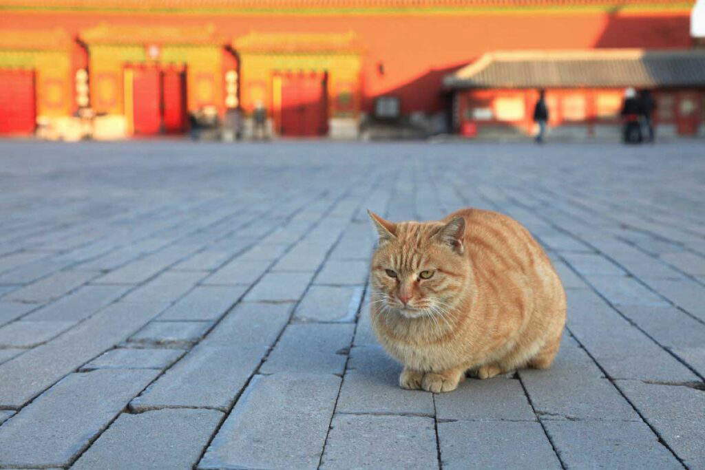 China’s Forbidden City: 10 Things You Need to Know