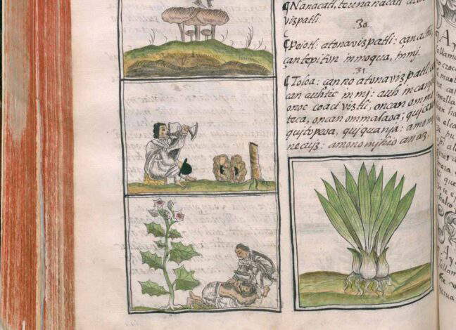 The Cultural Achievements of the Aztecs: More than Conquerors