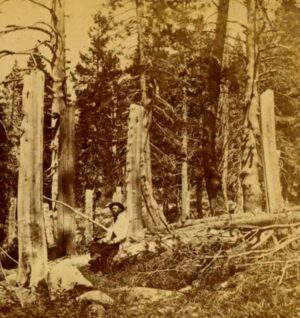 The Donner Party: The Doomed Trek Toward Prosperity