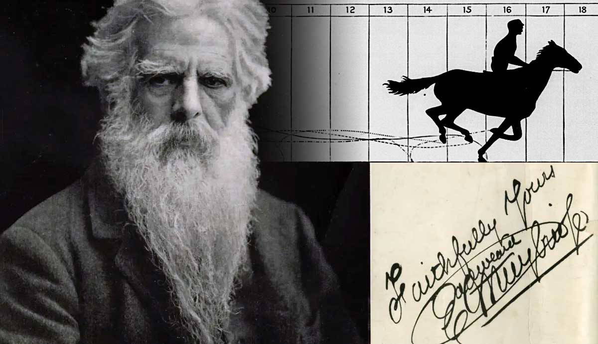 Why Did Eadweard Muybridge Photograph Horses?