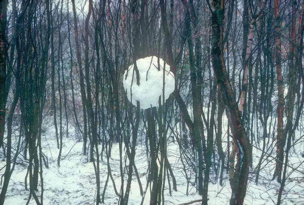 Andy Goldsworthy: Co-Authorship With the Earth through Land Art