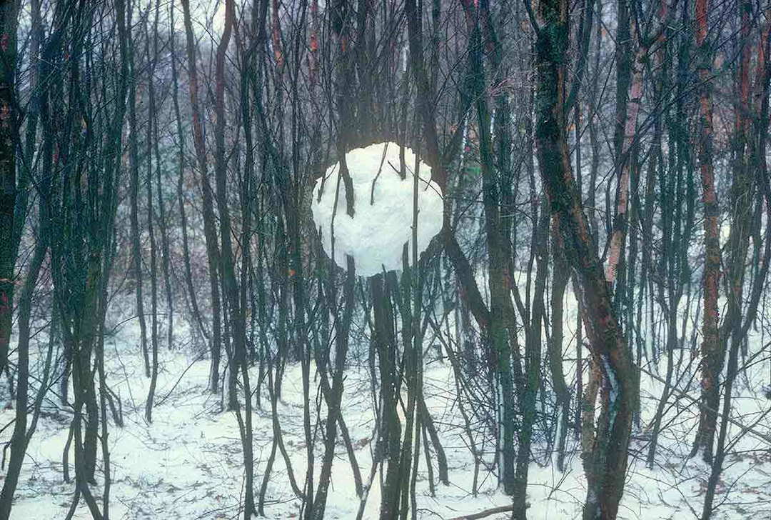 Andy Goldsworthy: Co-Authorship With the Earth through Land Art