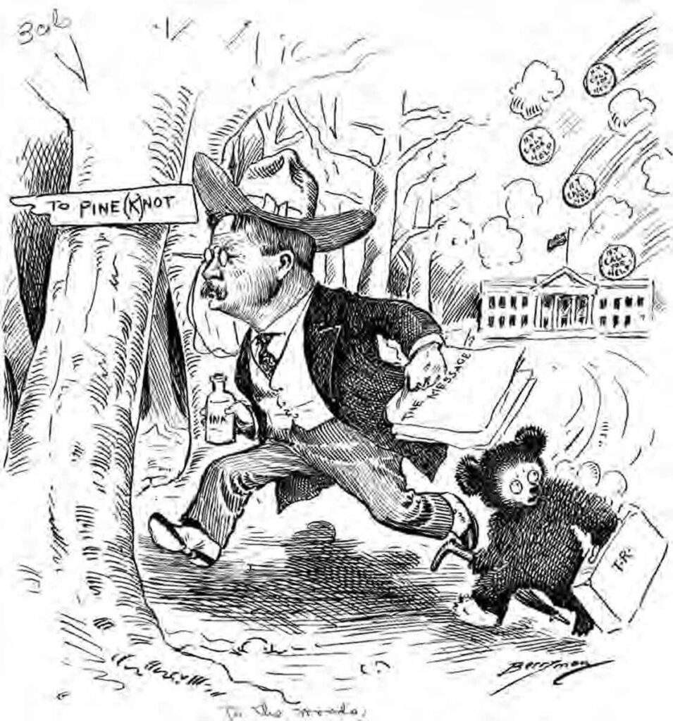 Is Teddy Roosevelt’s US National Parks Campaign Controversial?