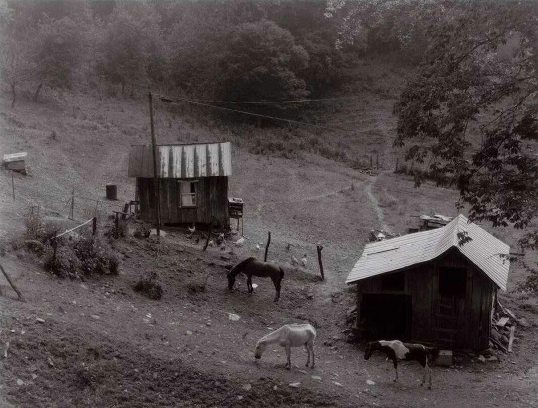 8 Astonishing Facts About the Blue Fugates