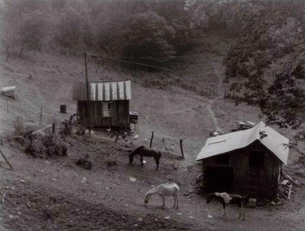 8 Astonishing Facts About the Blue Fugates