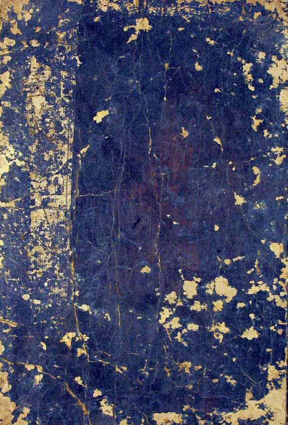 Plotinus: The Most Famous Neoplatonist & His Radical Metaphysics