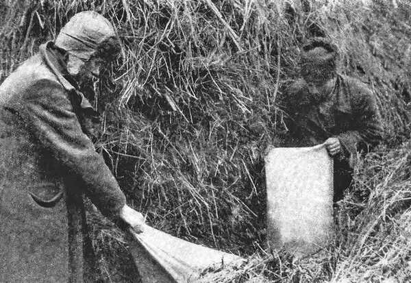 What Happened on Nazino Island? The Cannibal Gulag