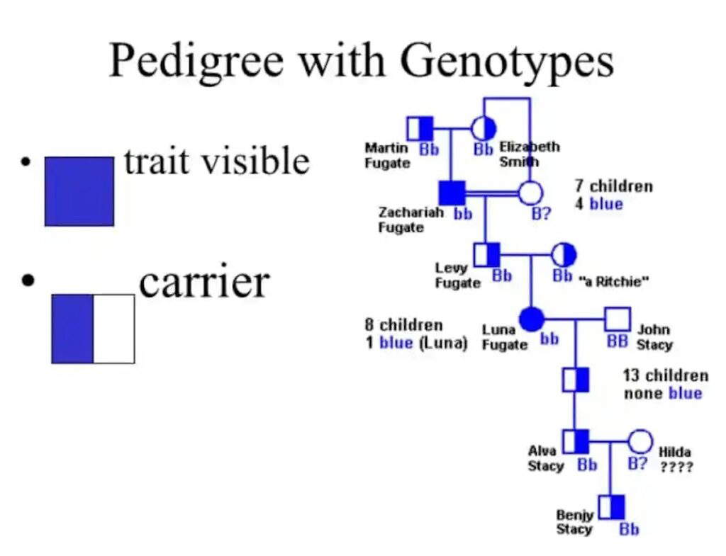 Blue Fugates: The True Story of Kentucky’s Blue People