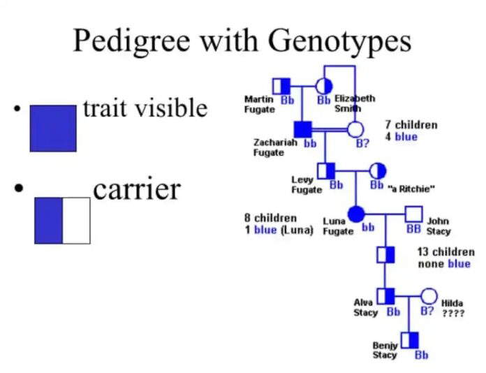 Blue Fugates: The True Story of Kentucky’s Blue People