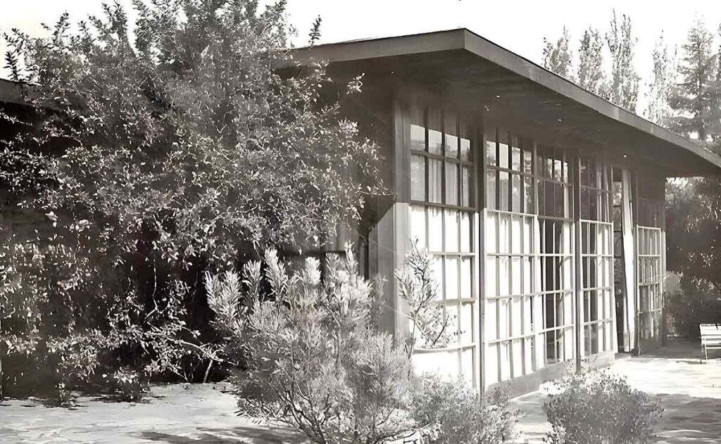 How Did the Modern Movement Pave the Way for New Architectural Styles?
