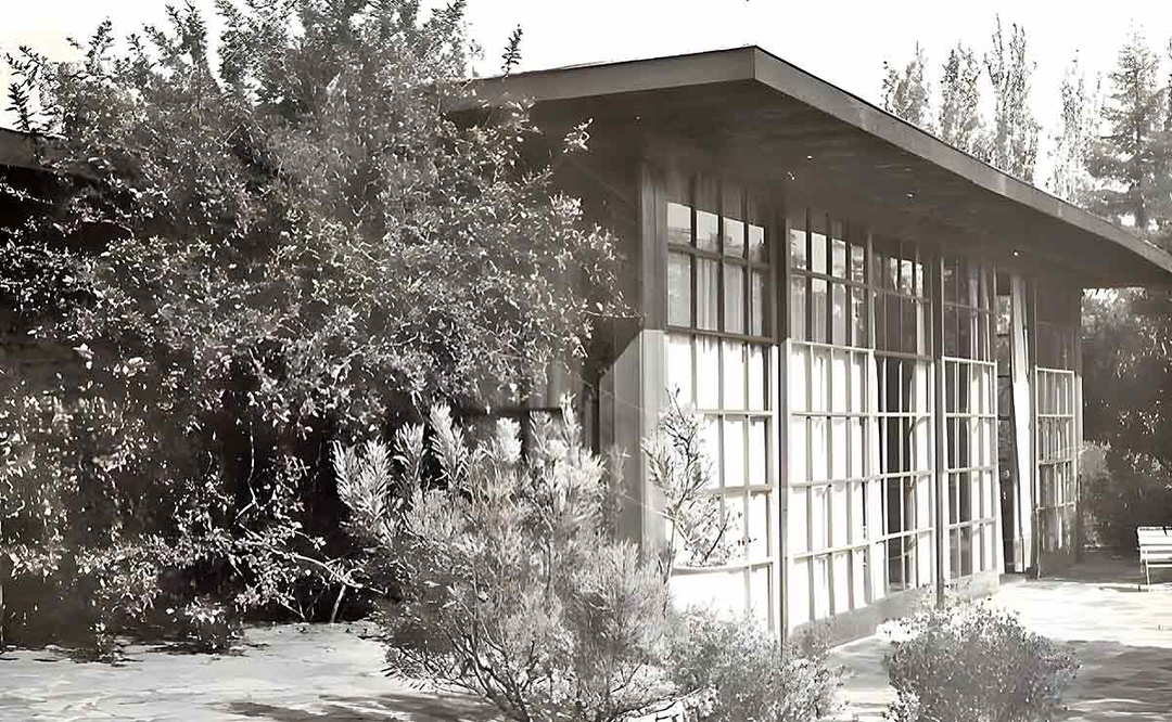 How Did the Modern Movement Pave the Way for New Architectural Styles?