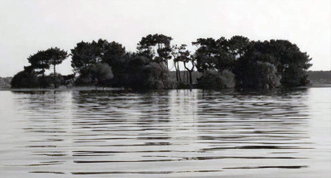 What Happened on Nazino Island? The Cannibal Gulag