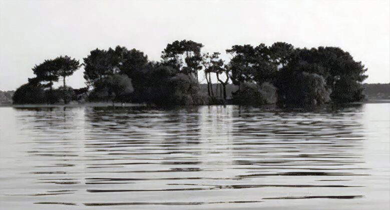 What Happened on Nazino Island? The Cannibal Gulag