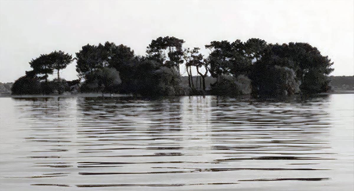 What Happened on Nazino Island? The Cannibal Gulag | TheCollector