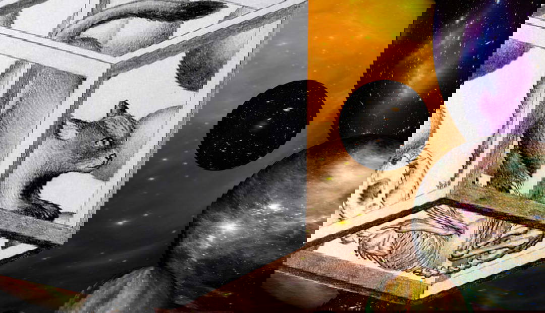 Quantum Immortality: Can People Really Become Immortal?