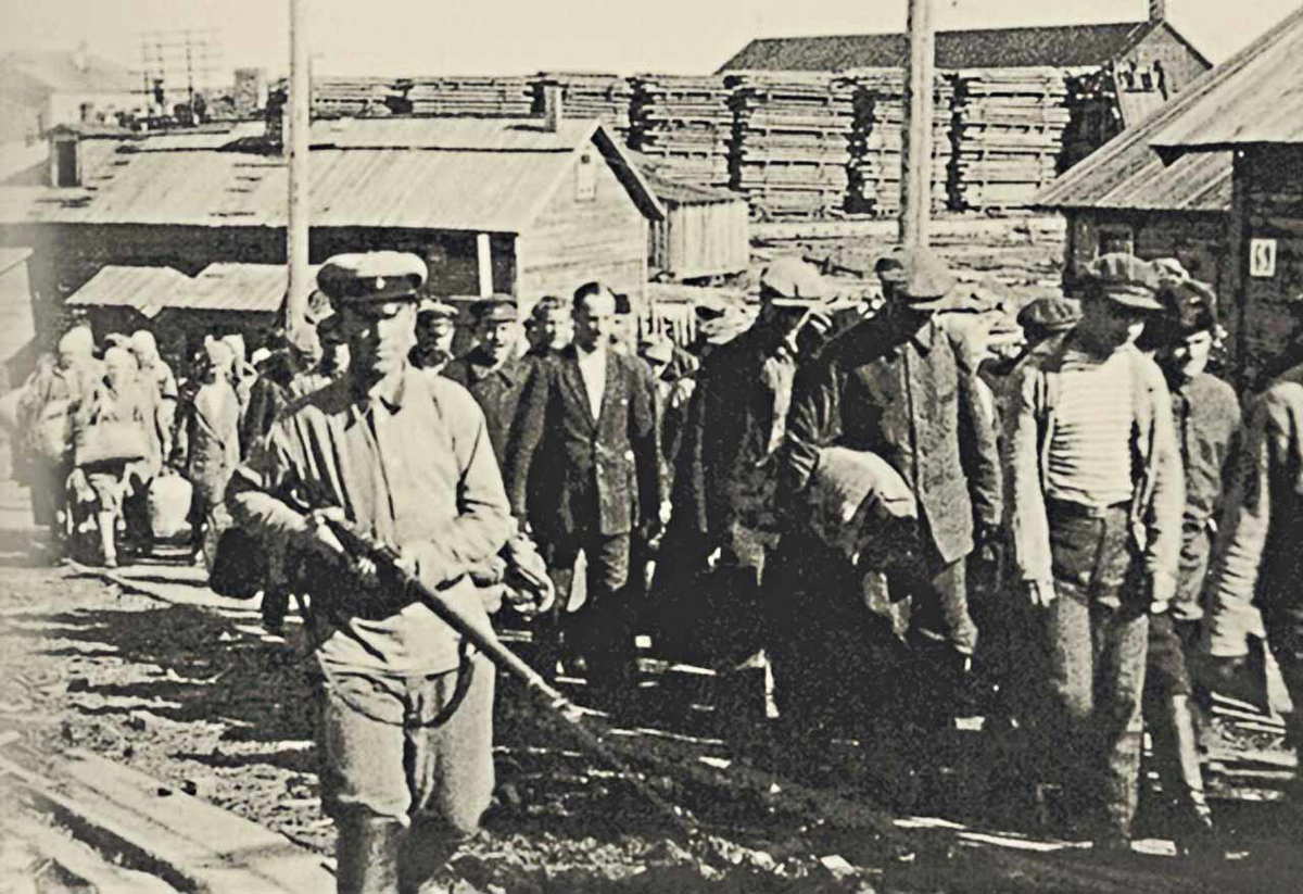 What Happened on Nazino Island? The Cannibal Gulag