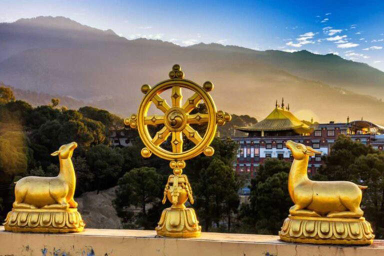 What Are the Four Pillars of Suffering According to Buddhism?