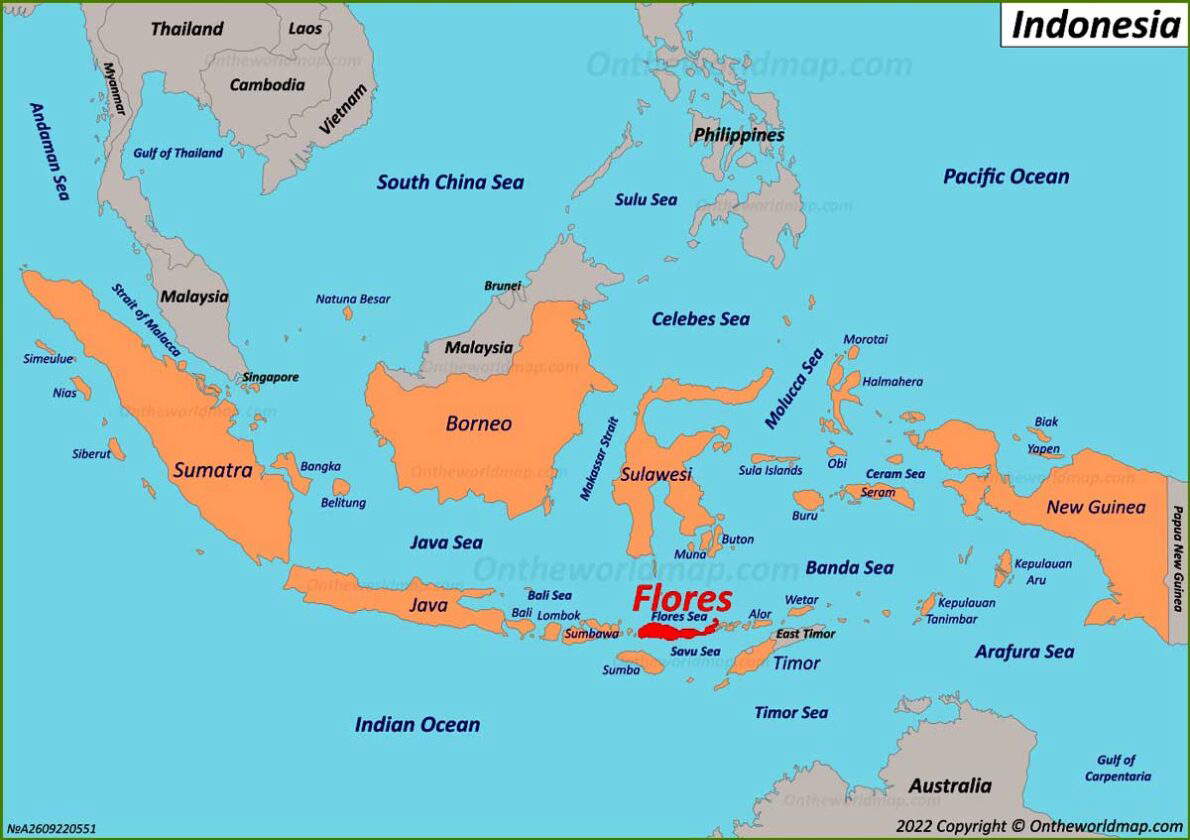 Homo Floresiensis: What Do We Know about the Hobbit People?