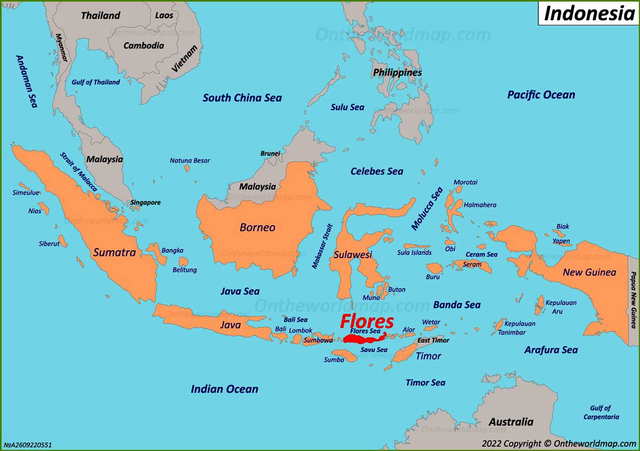 Homo Floresiensis: What Do We Know about the Hobbit People?