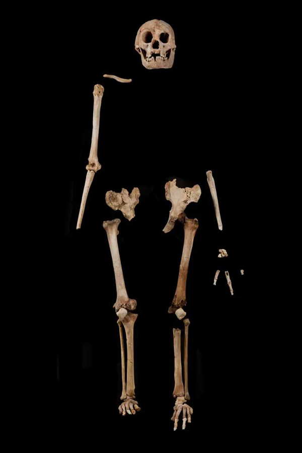 Homo Floresiensis: What Do We Know about the Hobbit People?