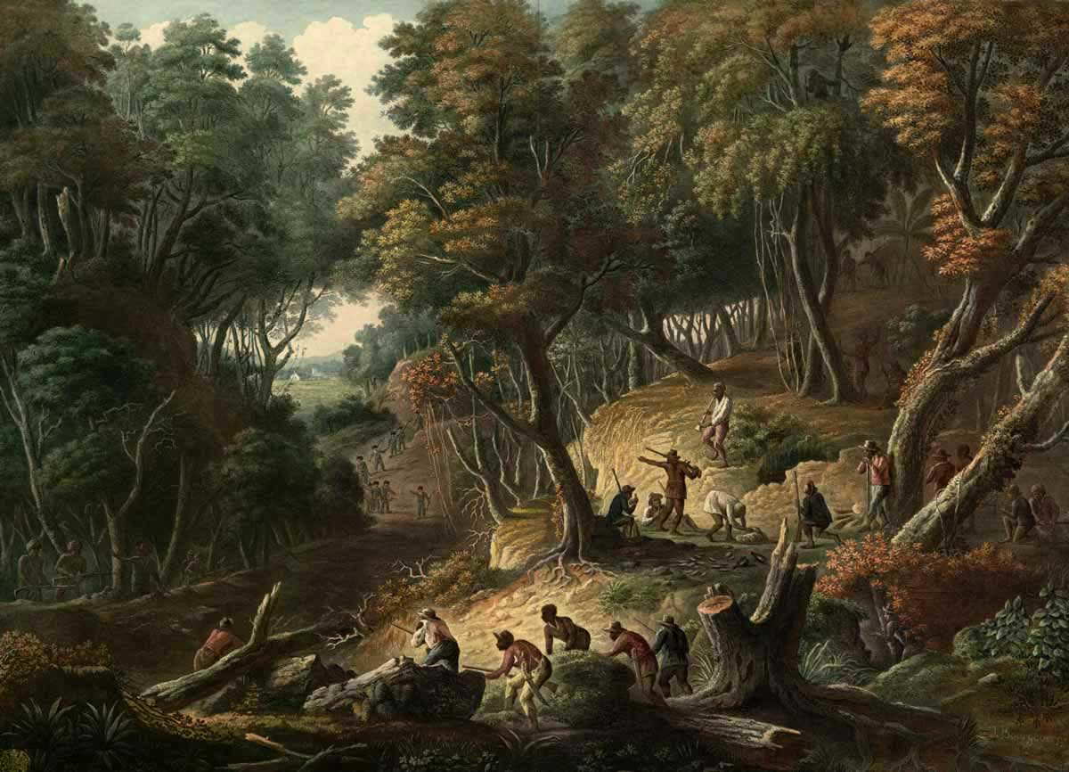 7 Facts about Francis Drake, the English Pirate-Hero