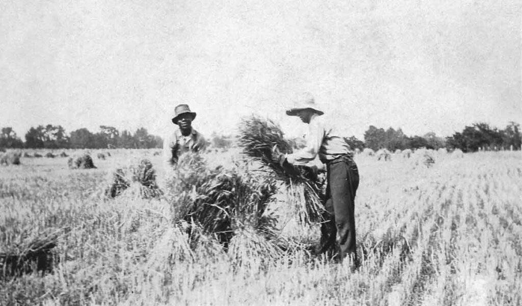 What Was the Mason-Dixon Line?