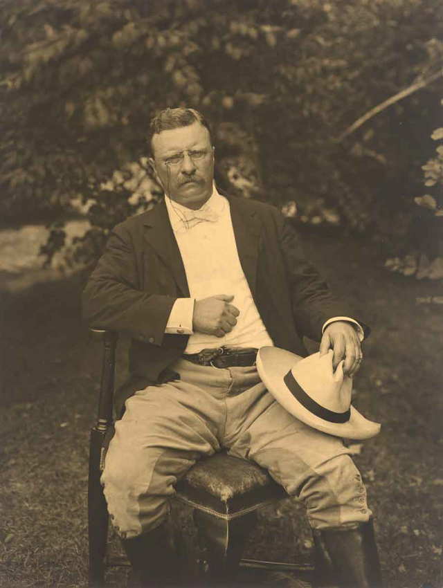 Theodore Roosevelt: Life & Accomplishments of this American President