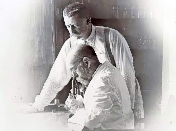 Robert Koch: Great Microbiologist or Unethical Researcher?