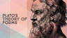 What Is Plato’s Theory of Forms?