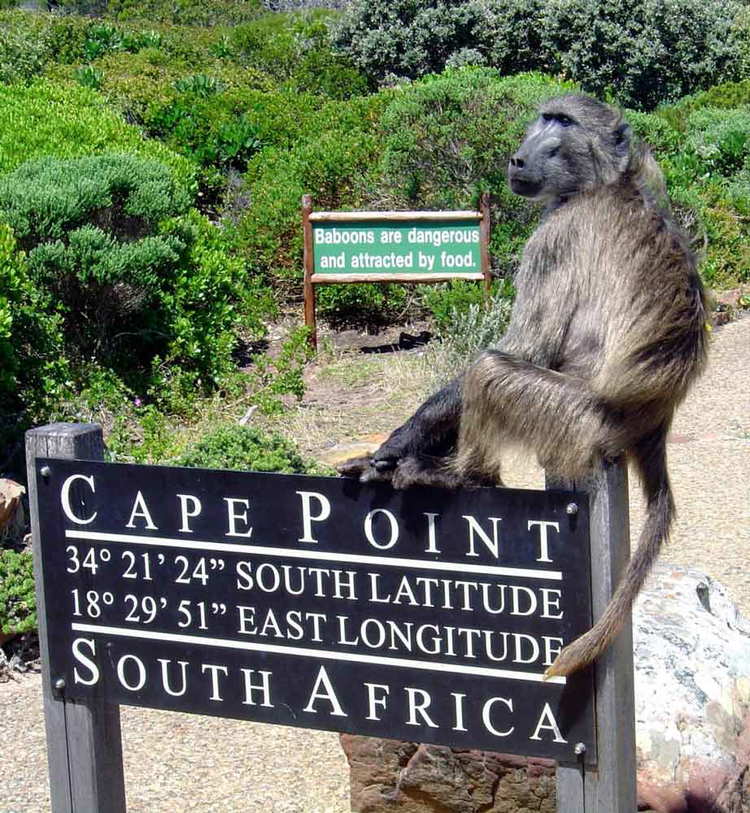 6 Crazy Facts about Cape Town