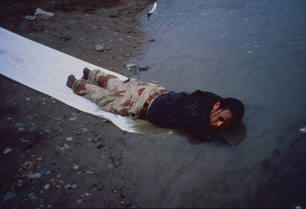 7 Women Artists Fighting Climate Change