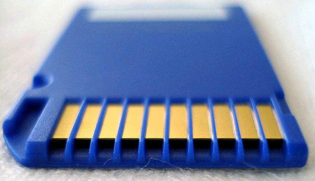 What Are the Main Sources of Knowledge?