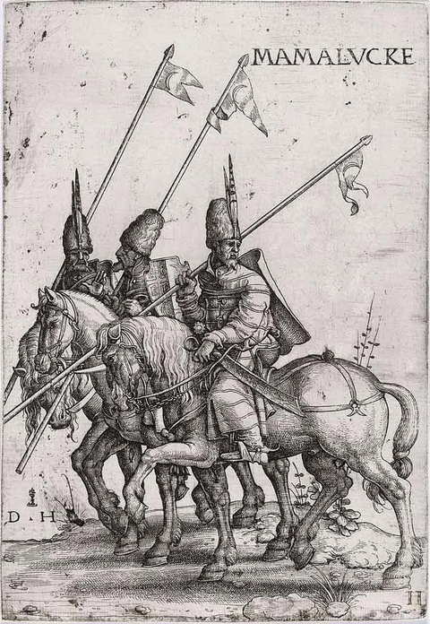 The Mamluk Sultanate: How Slaves Came to Rule an Empire