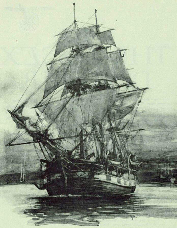 Whaleship Essex: The Terrifying Story That Inspired Moby Dick