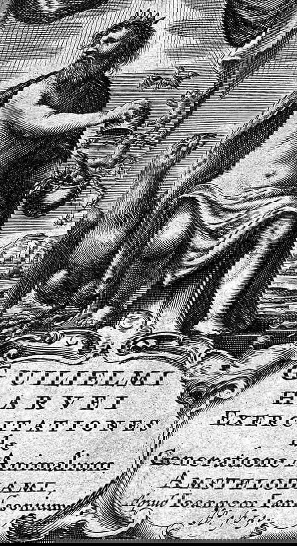 Monstrous Births: Artistically Understanding the Mystery of Birth