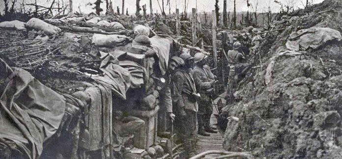 Trench Warfare in World War I: Rot, Rats, Ruin