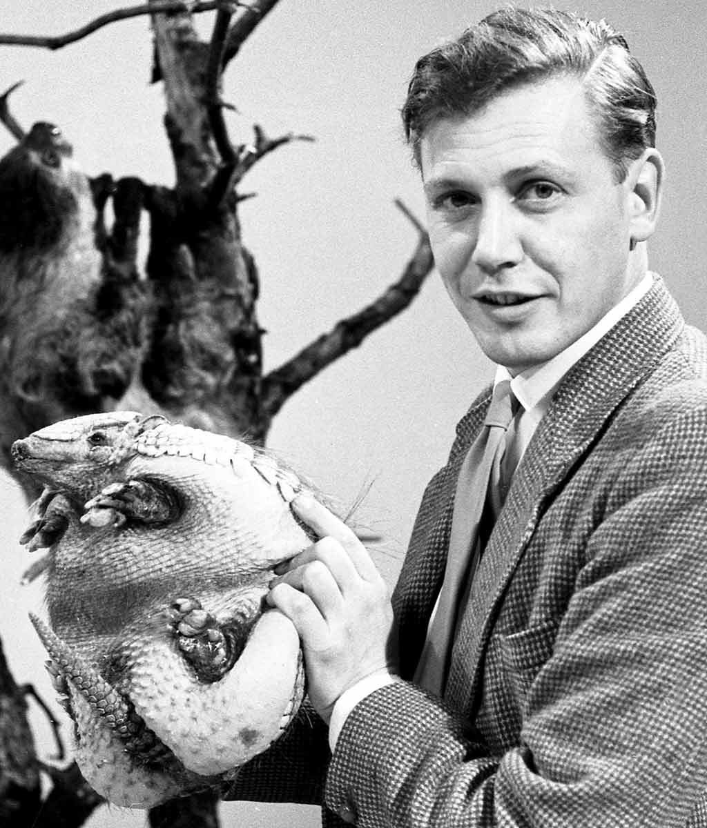 Who Is Sir David Attenborough?