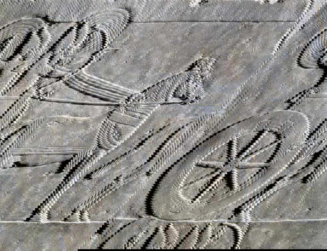 History of Chariots: 10 Types from Ancient Cultures Explained