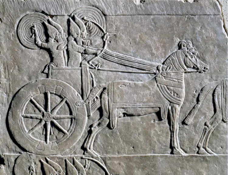 History of Chariots: 10 Types from Ancient Cultures Explained