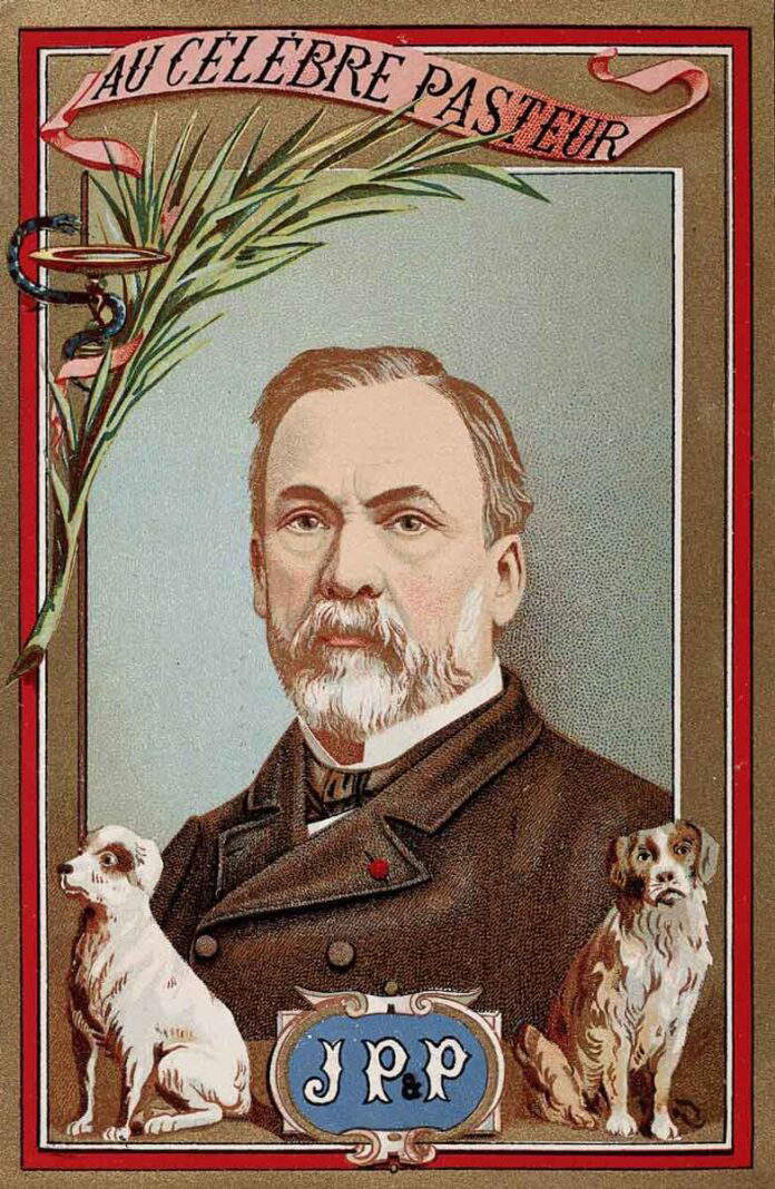 Louis Pasteur: The Scientist Who Discovered Vaccines & Pasteurization