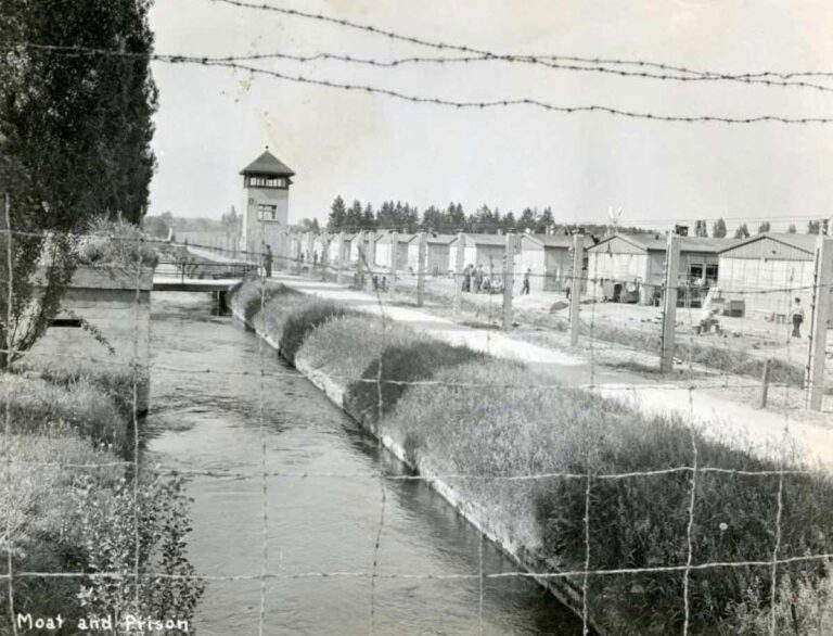 The Liberation of Dachau, the First Concentration Camp in Nazi Germany