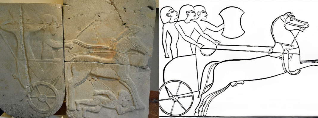 History of Chariots: 10 Types from Ancient Cultures Explained
