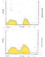 The Vela Incident: Nuclear Bombs vs. Asteroid Collisions