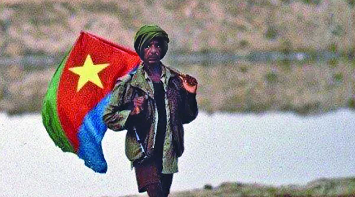 The Eritrean War of Independence: How Eritrea Won its Freedom ...