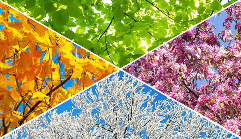 How Did the Seasons Get Their Names?