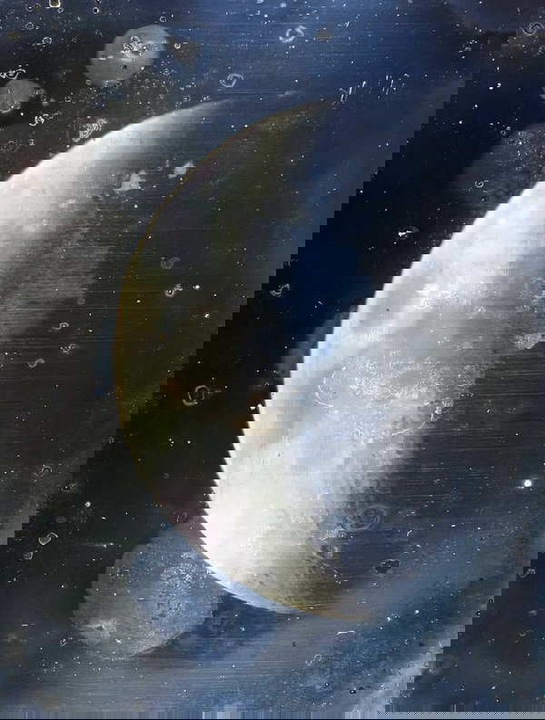 4 Techniques of 19th-Century Photography You Should Know