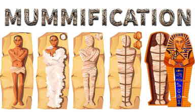 Mummified Animals: How Ancient Egypt Preserved Pets